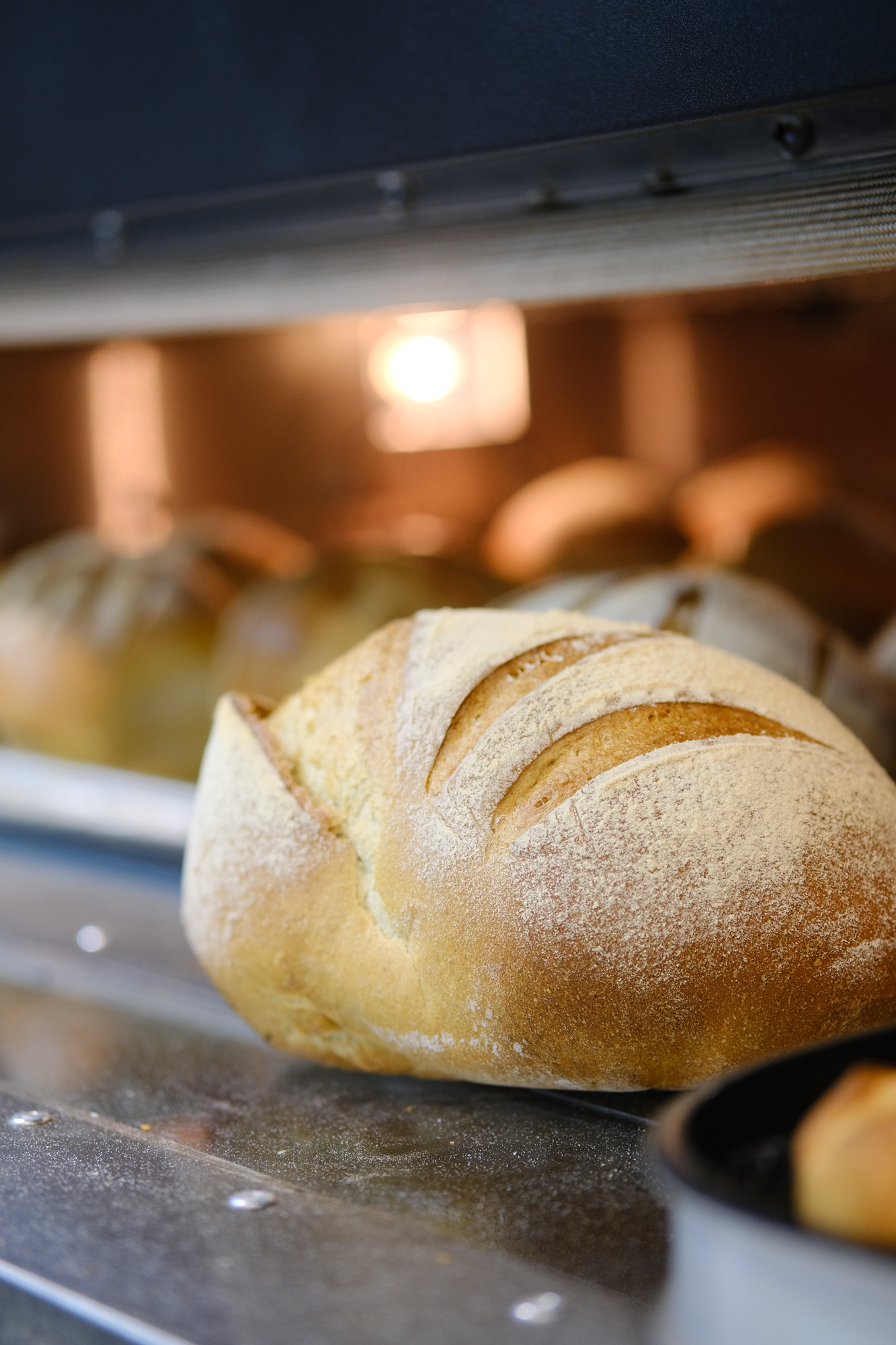 Bakery plus 2023 - İNOVEN.COM.TR